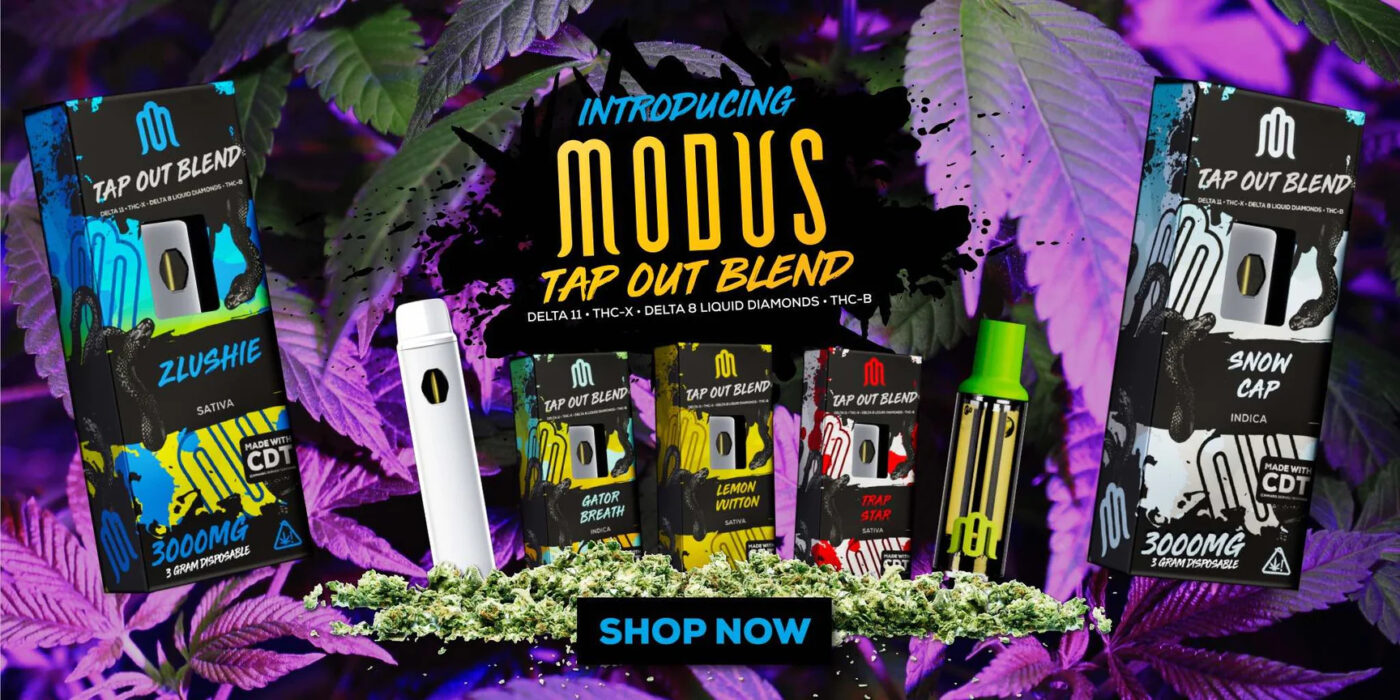 A Complete Guide to Buying Modus Vape Online - DGM News