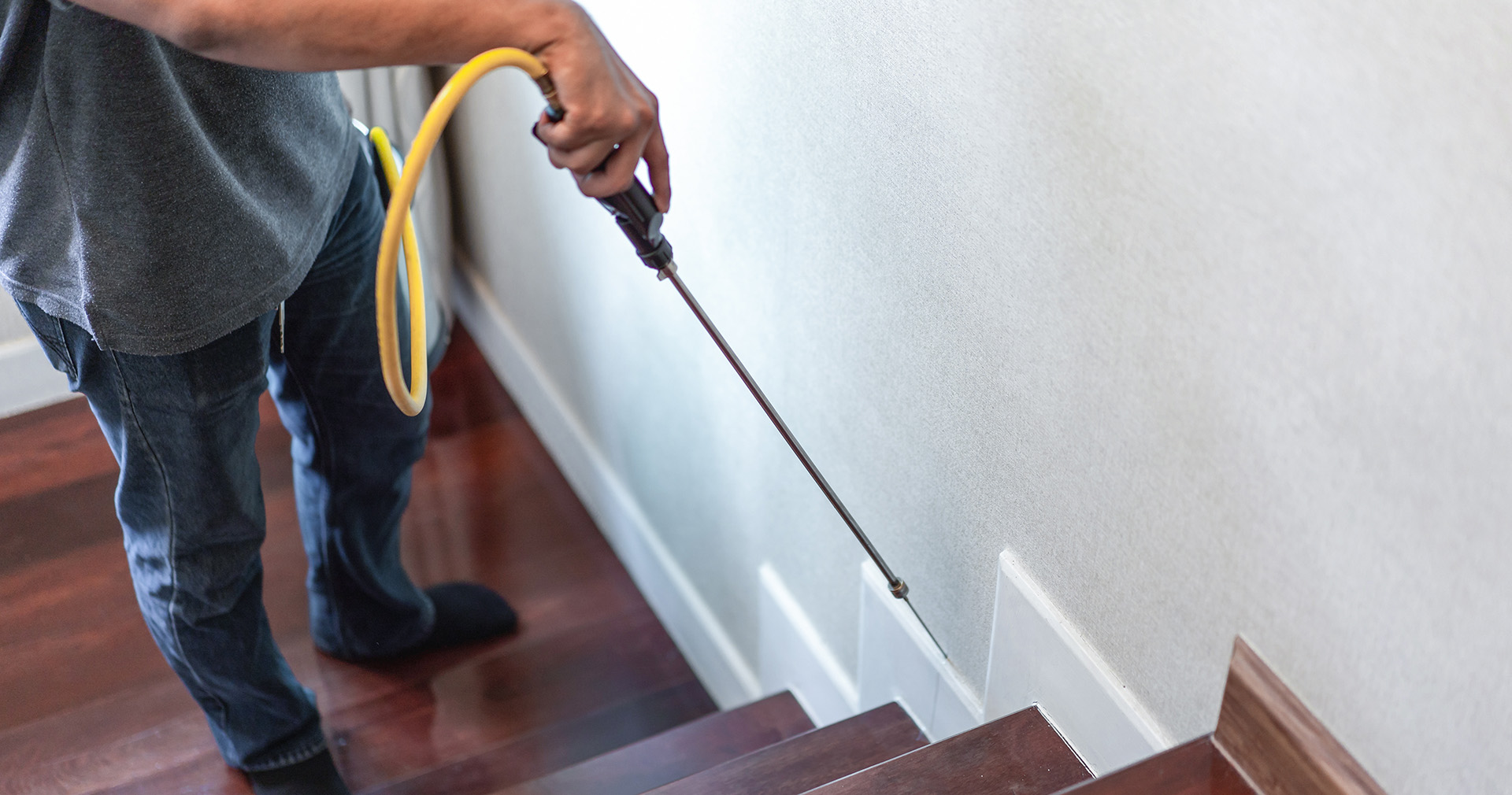 Pest Control in Kansas City Apartments: Tenant and Owner's Rights and ...